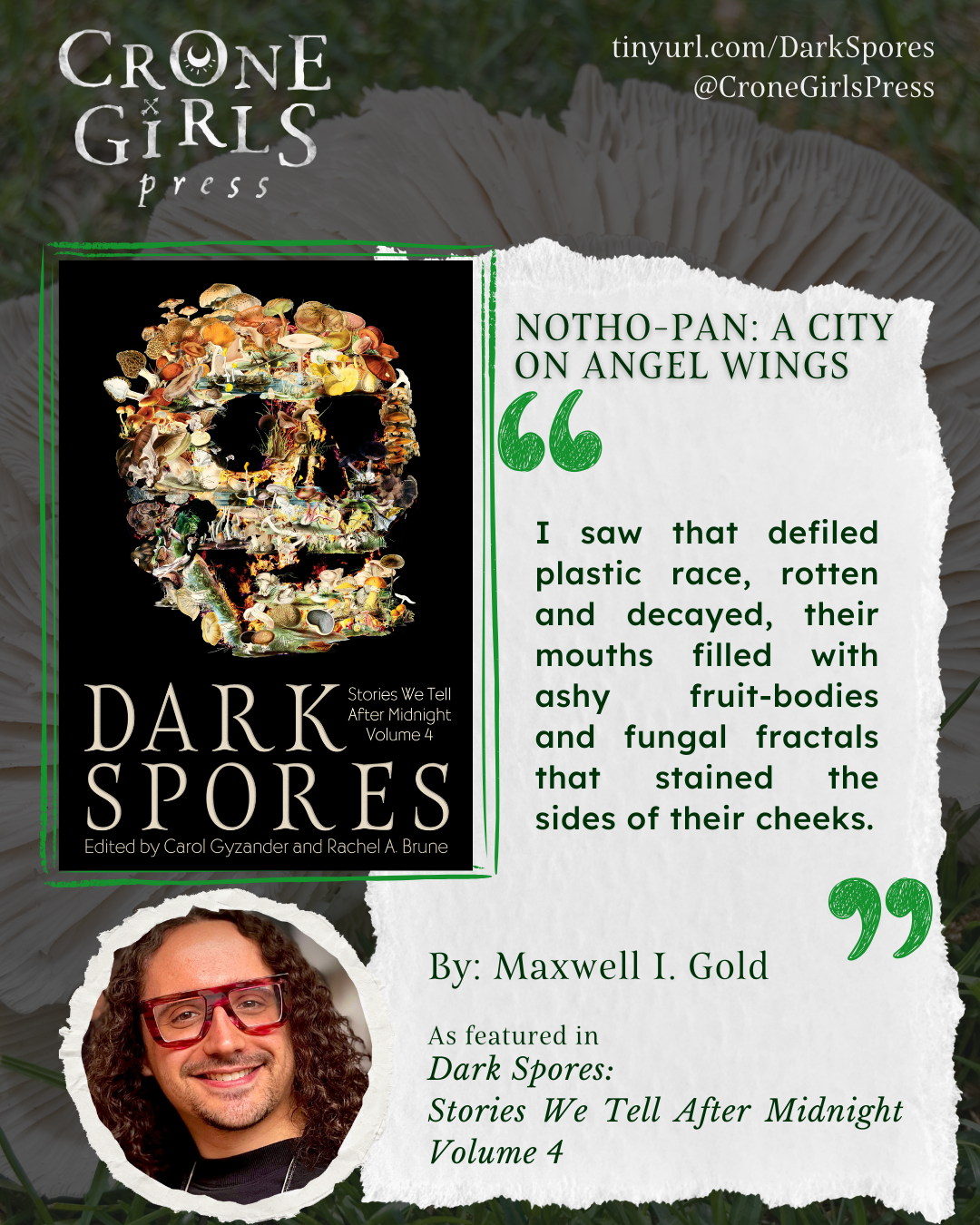 Meet The Author: Maxwell I. Gold – Crone Girls Press